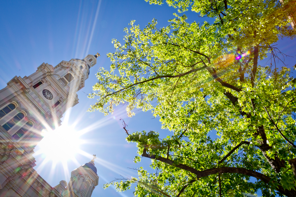 Meet Leyne Milstein, Sacramento’s new Interim City Manager - Sacramento ...