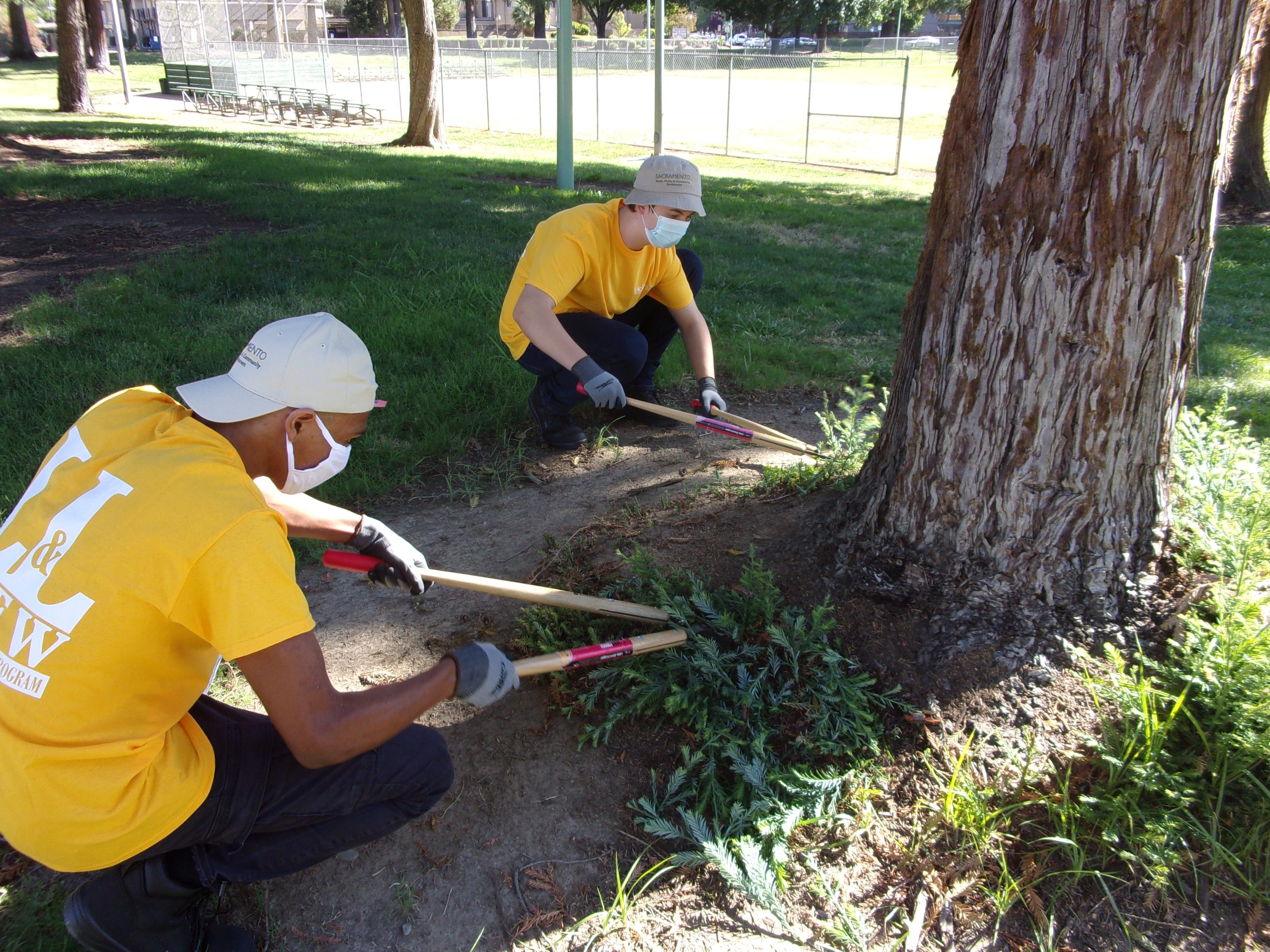 Youth now can apply for paid 'Landscape & Learning' summer positions ...