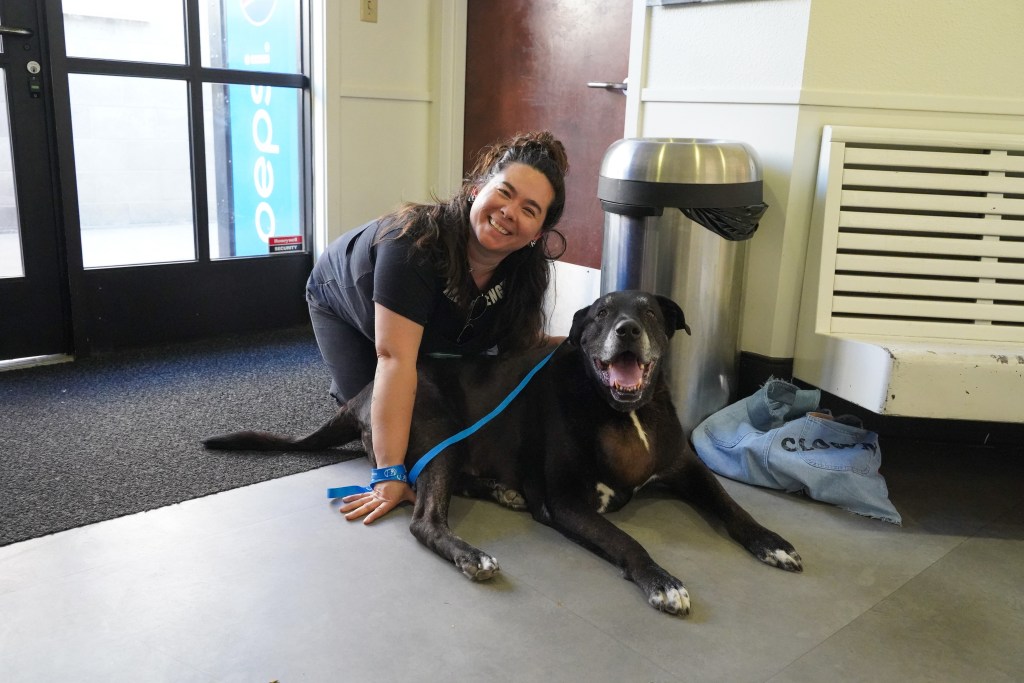 Underdogs benefit from Front Street Animal Shelter's hospice adoption ...