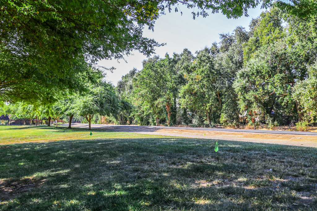 Celebrate arts and the outdoors in April at these Del Rio Trail events ...