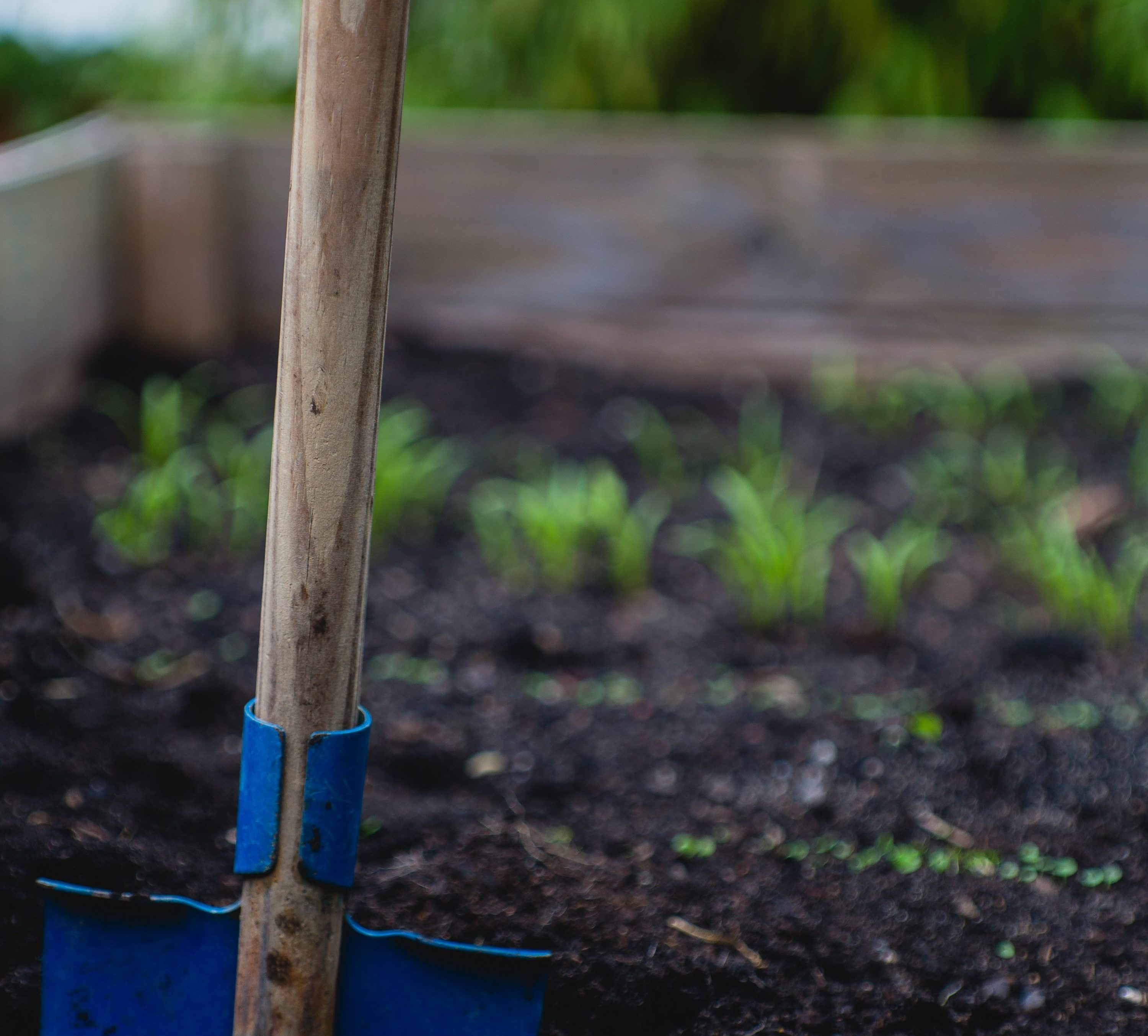 City offering free compost to residents for yard and garden ...