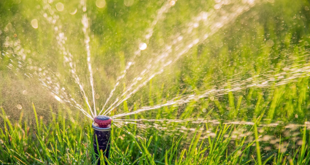 Two days is all you need: City’s spring and summer watering schedule ...