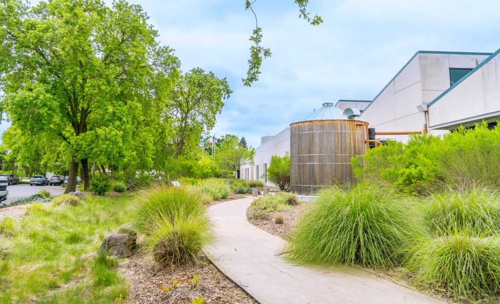 Learn about California native plants at this May 3 garden tour ...